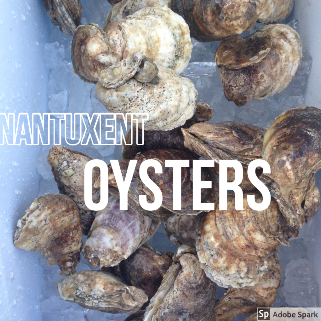 Evolution of the local oyster industry – After the Drowning